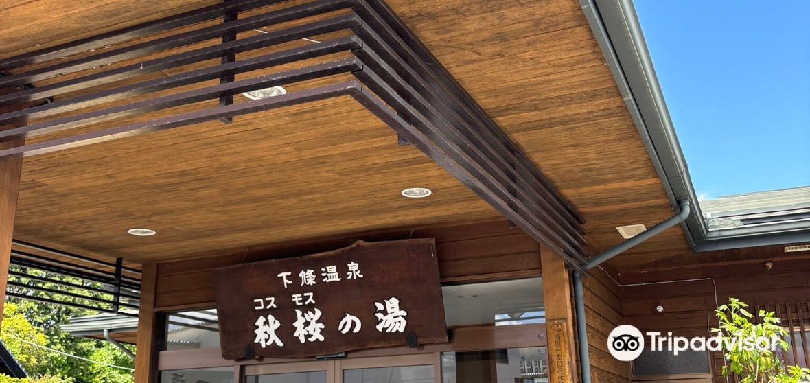 Shimojo Travel Guide 2025: Top Attractions, Things to Do & Deals | Trip ...