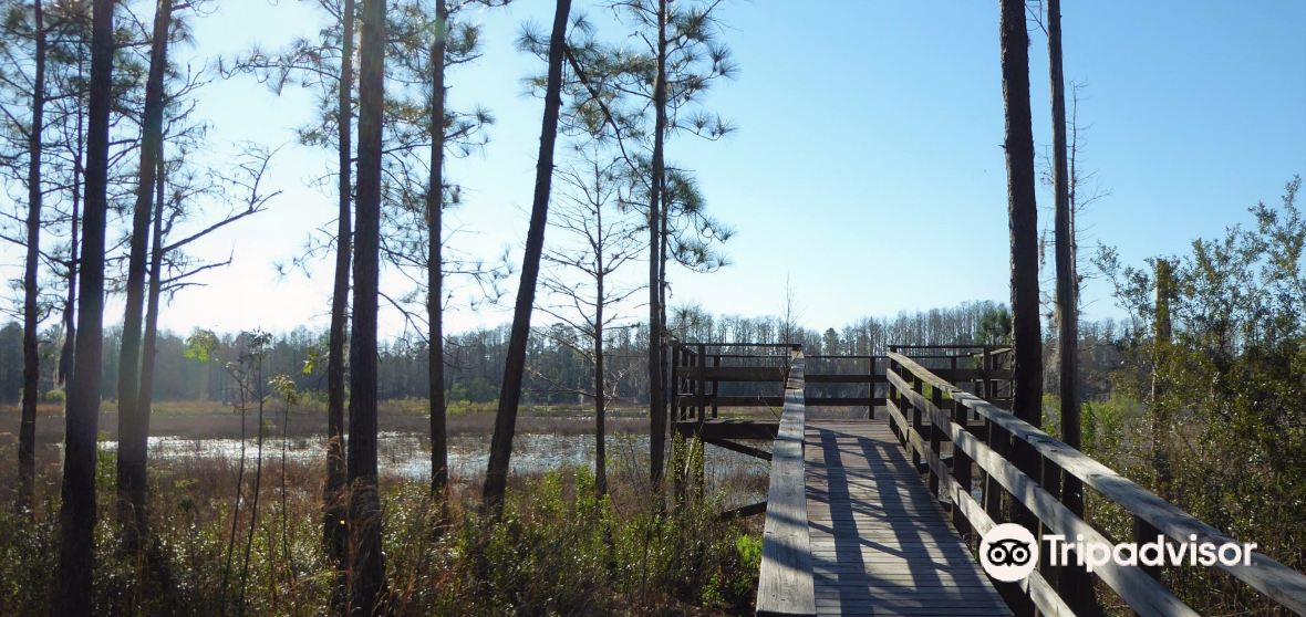 Hernando Travel Guide 2026: Top Attractions, Things to Do & Deals ...