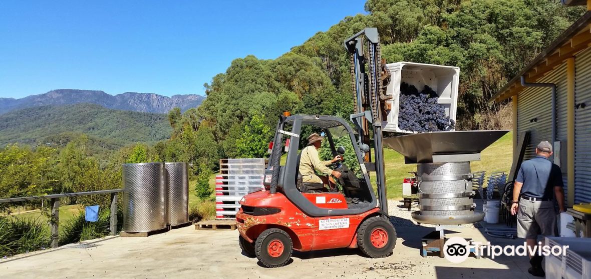 Things to Do in Porepunkah in 2025 - Top Attractions, Local Food ...