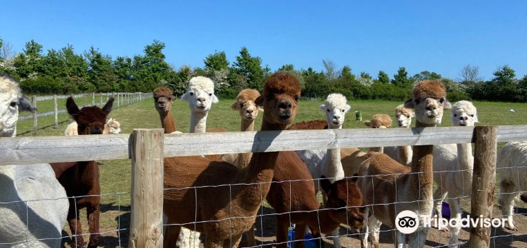 Things to do in Dauntsey (2025): Top nearby activities,popular ...