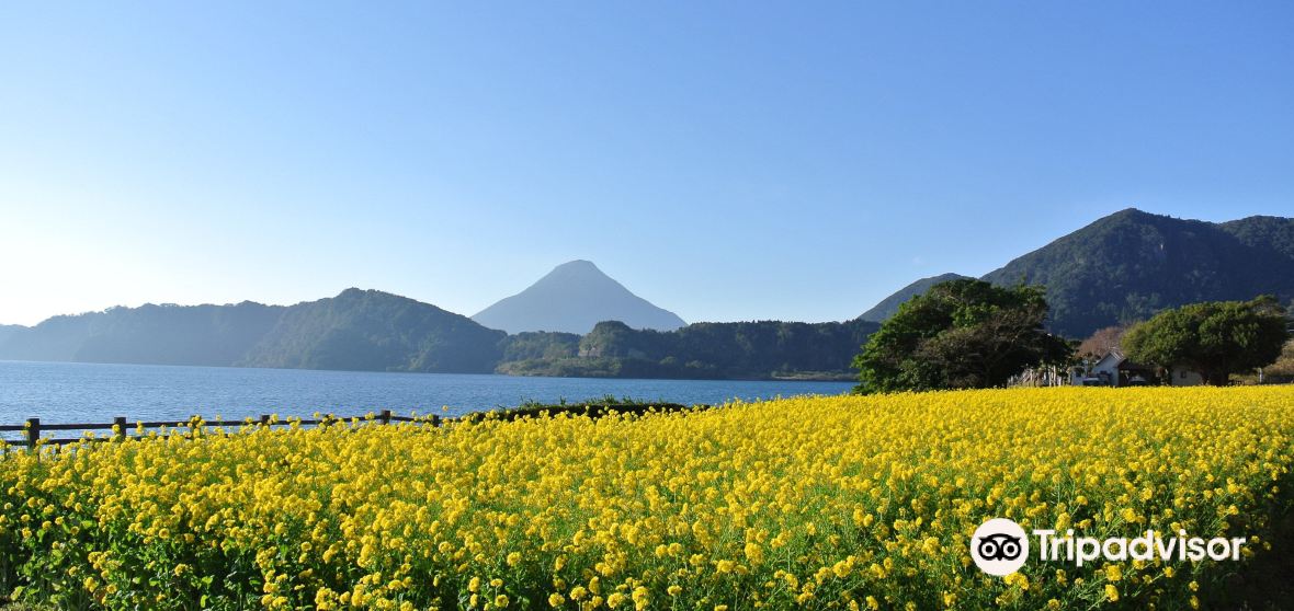 Ibusuki Travel Guide 2024 - Things to Do, What To Eat & Tips | Trip.com