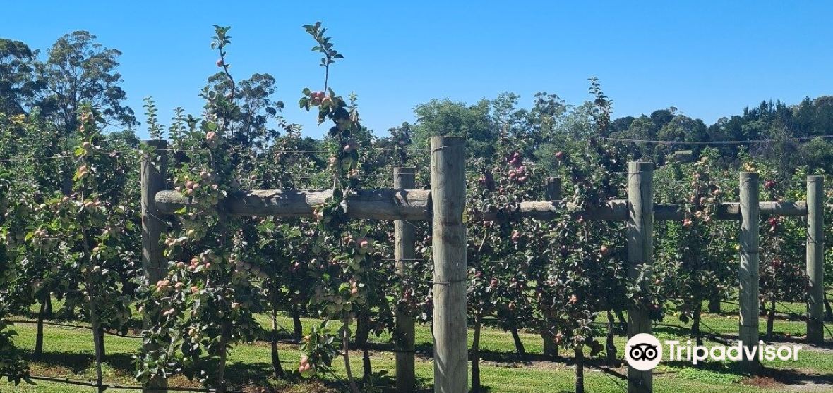 Things to Do in South Spreyton in 2024 - Top Attractions, Local Food ...