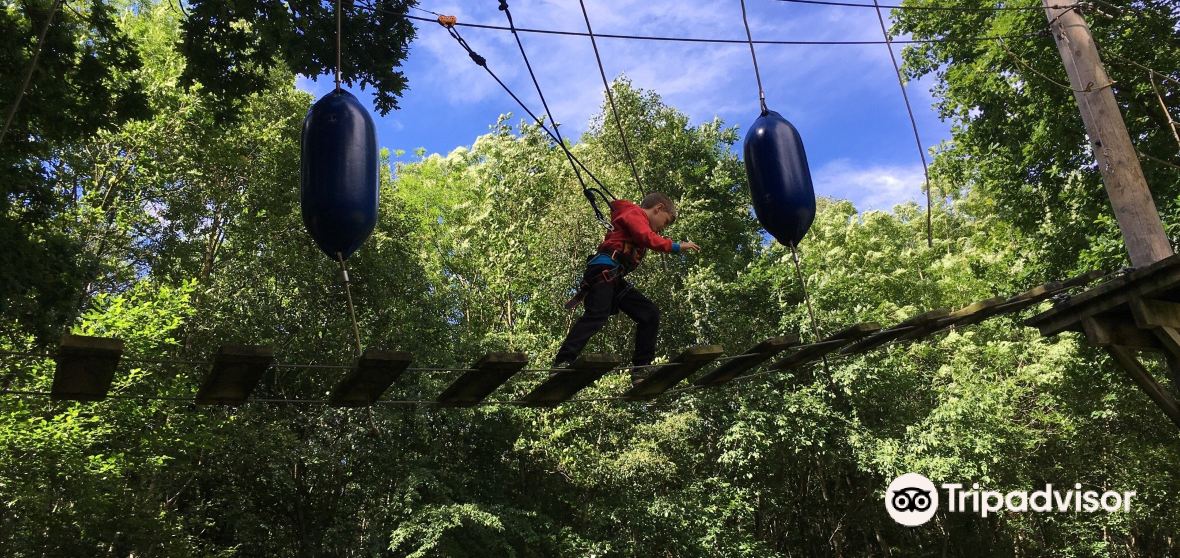 Carthorpe Travel Guide 2024 - Things to Do, What To Eat & Tips | Trip.com