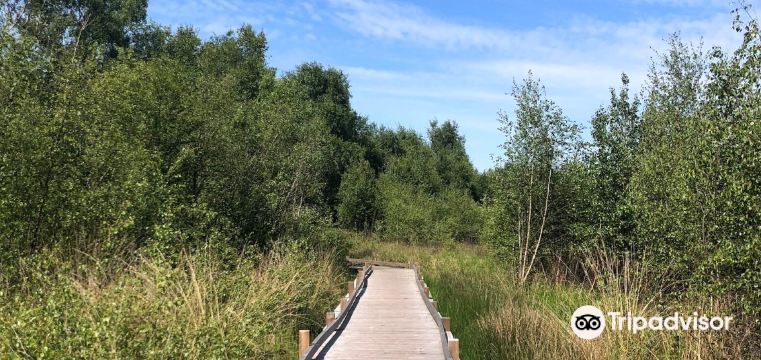 เที่ยวMoorends (2024) - ที่เที่ยวใน Moorends, กิจกรรมสนุกๆ, โรงแรม ...