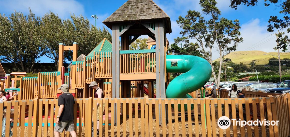 Kamuela Travel Guide 2026: Top Attractions, Things to Do & Deals | Trip ...