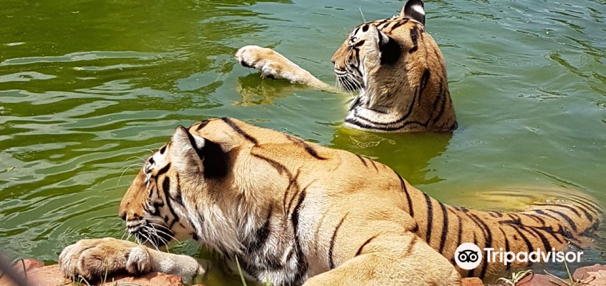 Things to Do in Groblersdal in 2025 - Top Attractions, Local Food ...