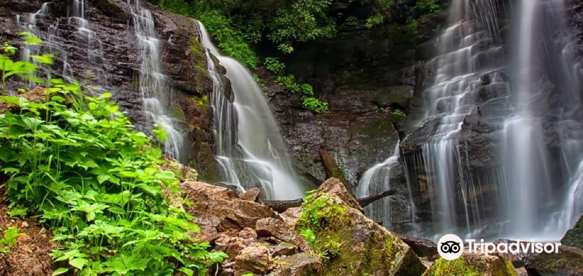 Qualla Travel Guide 2025: Top Attractions, Things to Do & Deals | Trip ...