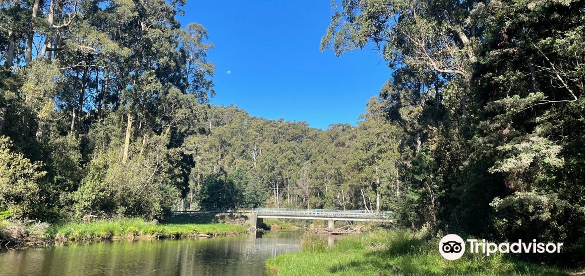 Burnie Travel Guide 2025: Top Attractions, Things to do & Itinerary ...