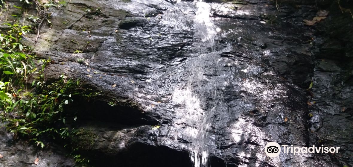 Things to Do in Limbang in 2025 - Top Attractions, Local Food, Hotels ...