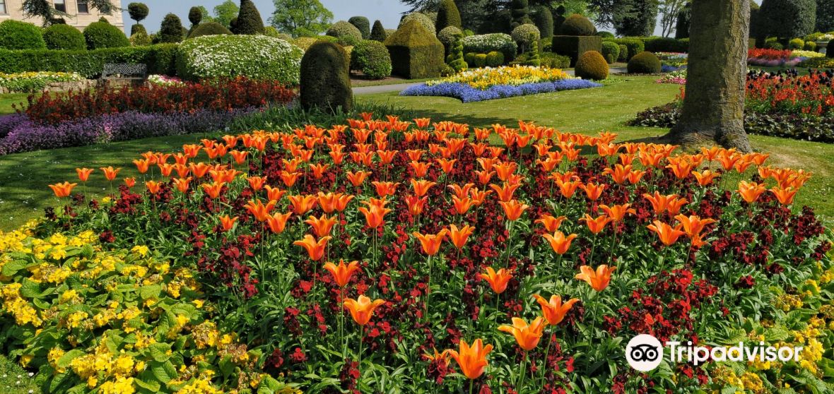 Doncaster District Travel Guide 2024 - Things to Do, What To Eat & Tips ...