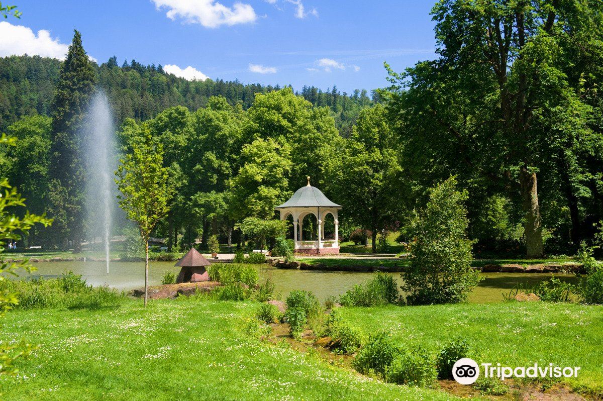 Bad Kãƒânig Kurpark