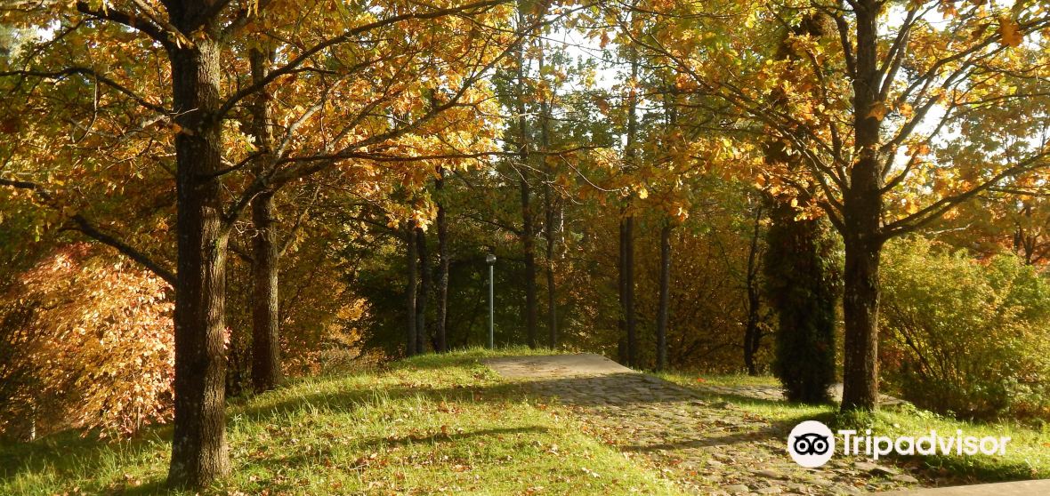 Ogres pilseta Travel Guide 2024 - Things to Do, What To Eat & Tips ...