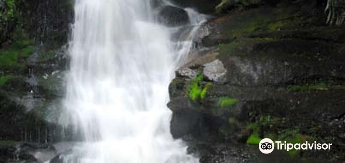 Things to Do in Ringarooma in 2025 - Top Attractions, Local Food ...