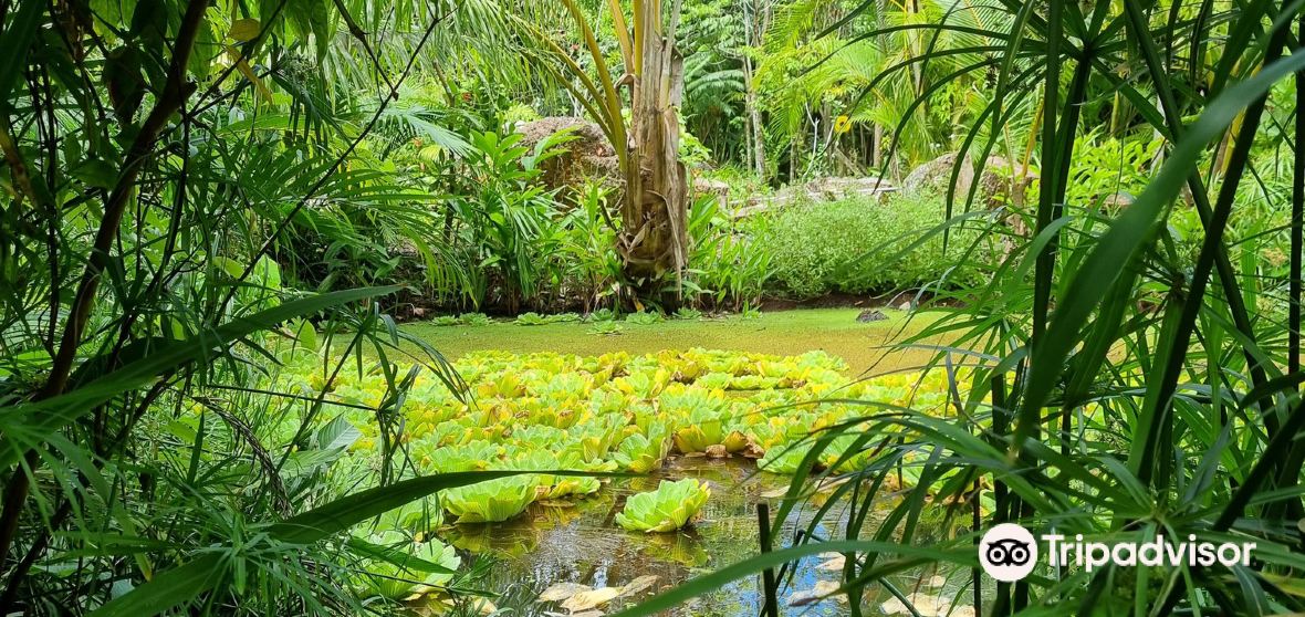 เที่ยวTakitumu (2024) - ที่เที่ยวใน Takitumu, กิจกรรมสนุกๆ, โรงแรม ...