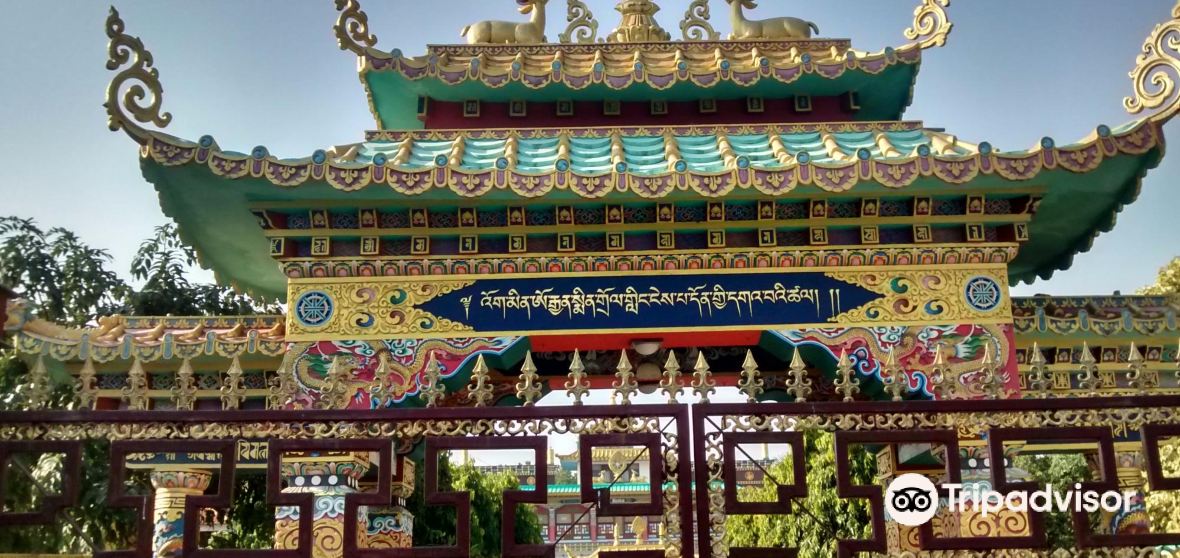 Things to Do in Dehra Dun in 2024 - Top Attractions, Local Food, Hotels ...