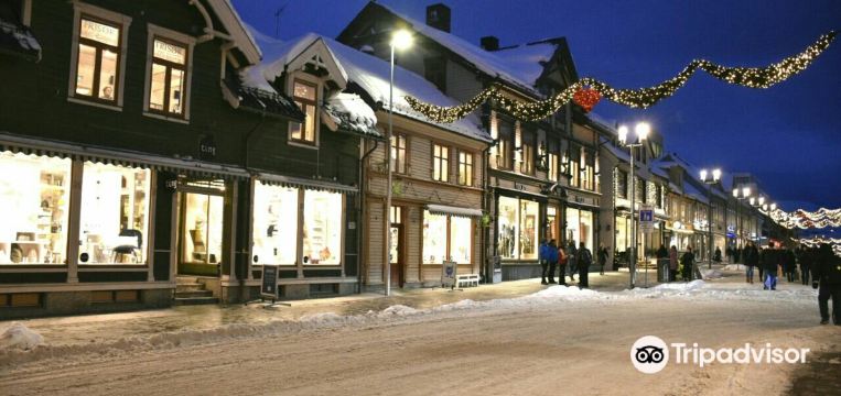 【2024年】Ramfjordbotnの人気観光スポット・旅行ガイド・グルメ情報満載 | Trip.com