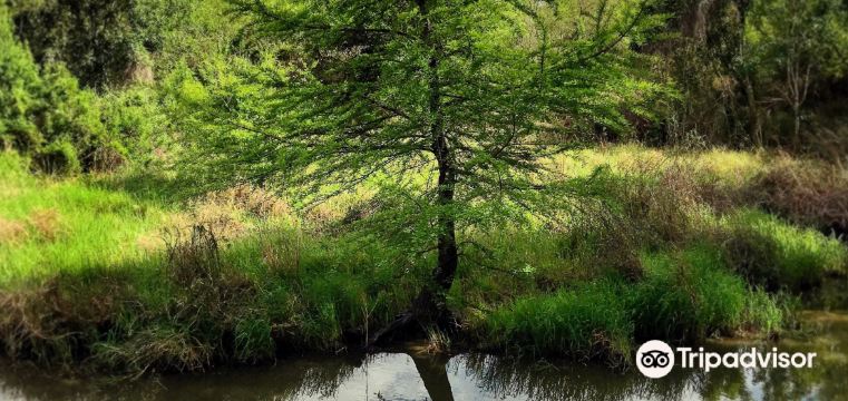 Things to do in Weslaco (2025): Top nearby activities,popular ...