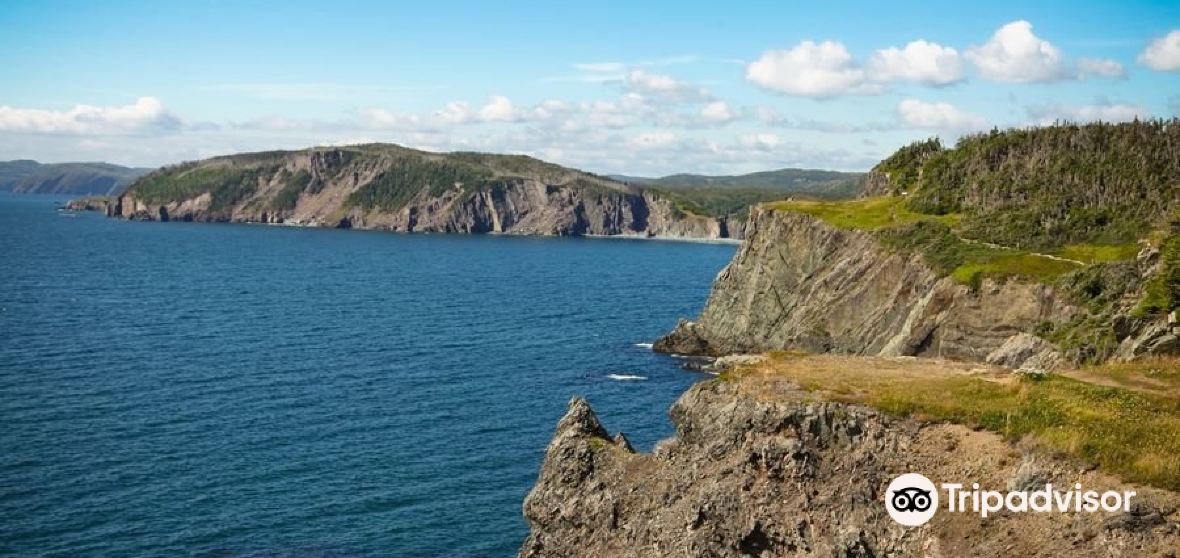 Things to Do in Port Rexton in 2024 - Top Attractions, Local Food ...