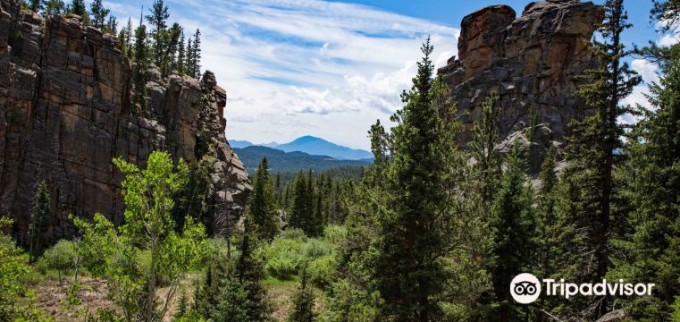 Pine Junction Area 여행 가이드(2025년): 인기 관광지, 교통, 날씨 등 (업데이트 날짜: 2025년 9월 ...