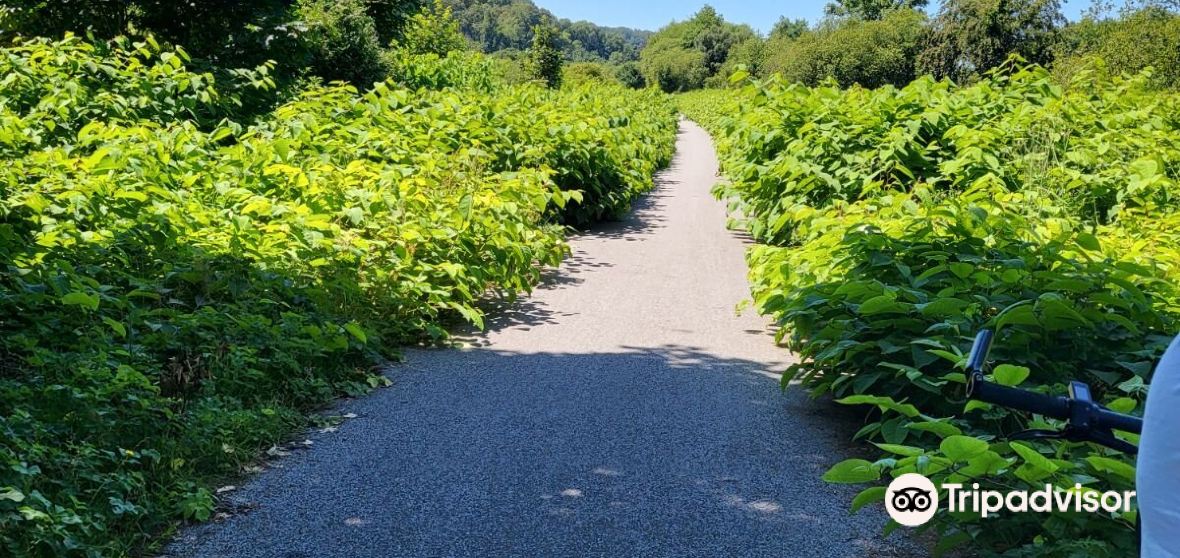 Things to Do in Offranville in 2024 - Top Attractions, Local Food ...