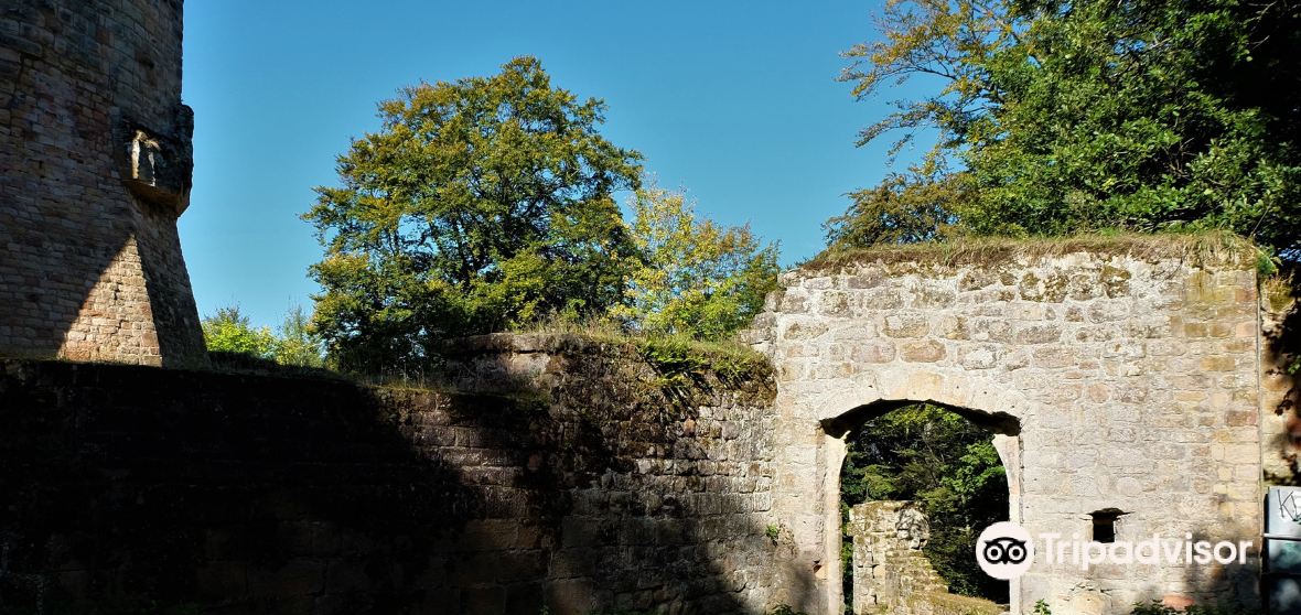 Merzalben Travel Guide 2023 - Things to Do, What To Eat & Tips | Trip.com