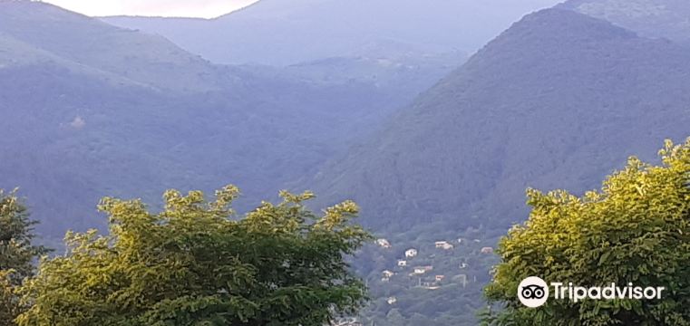 Pleven Travel Guide 2024 - Things to Do, What To Eat & Tips | Trip.com