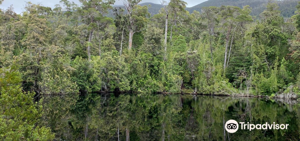 Strathblane Travel Guide 2025: Top Attractions, Things to Do & Deals ...