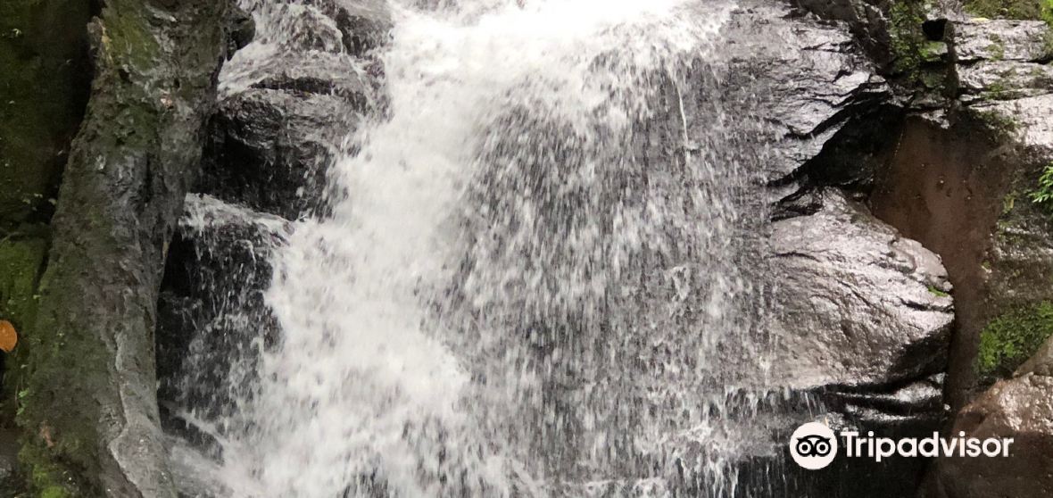 Things to Do in Tigaon in 2025 - Top Attractions, Local Food, Hotels ...