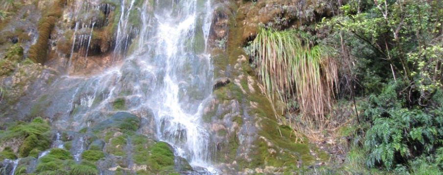 Things to do in Aniseed Valley (2025): Top nearby activities,popular ...