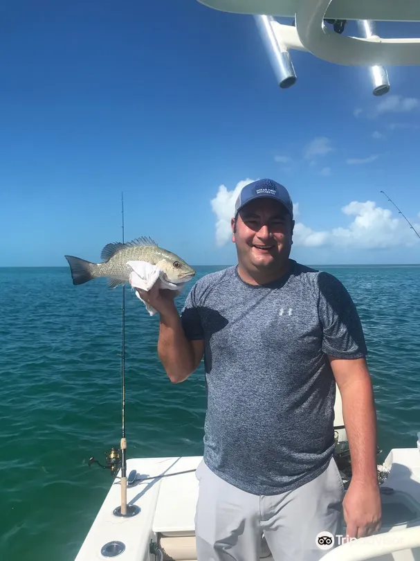 réductions sur les billets de Capt Dans Fishing Charters, prix et frais ...