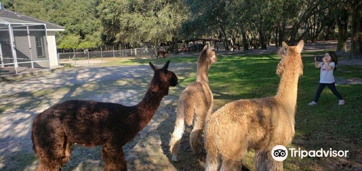 Lecanto Travel Guide 2024 - Things to Do, What To Eat & Tips | Trip.com