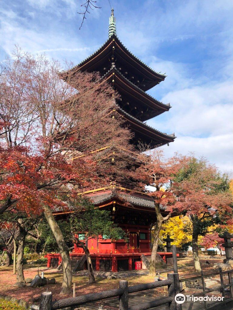 Fivefold Pagoda of Kan’ei-ji Temple: ภาพถ่าย, แผนที่ & รีวิว [2024 ...