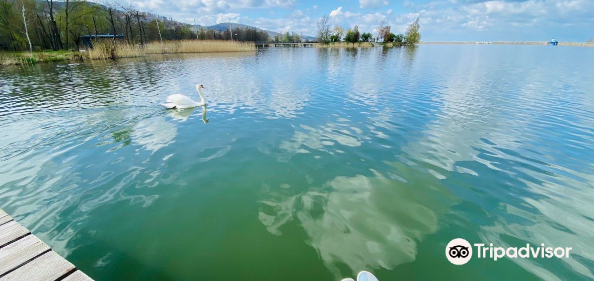 Things to Do in Bielawa in 2024 - Top Attractions, Local Food, Hotels ...