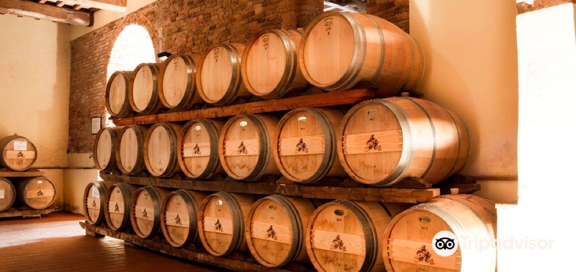 Things to do in Palaia (2025): Top nearby activities,popular ...