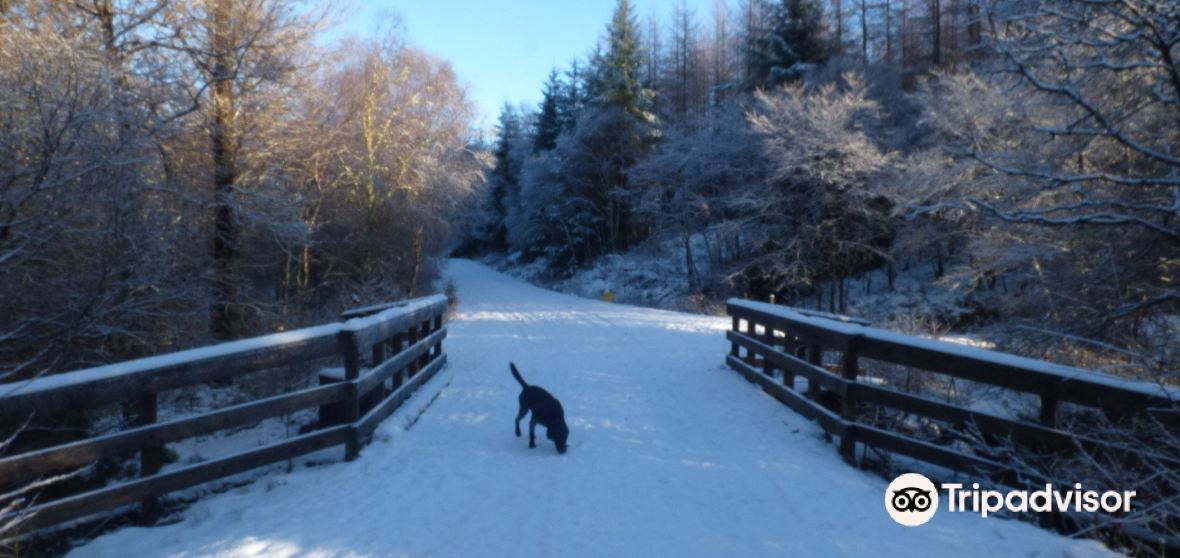 Taynuilt Travel Guide 2024 - Things to Do, What To Eat & Tips | Trip.com