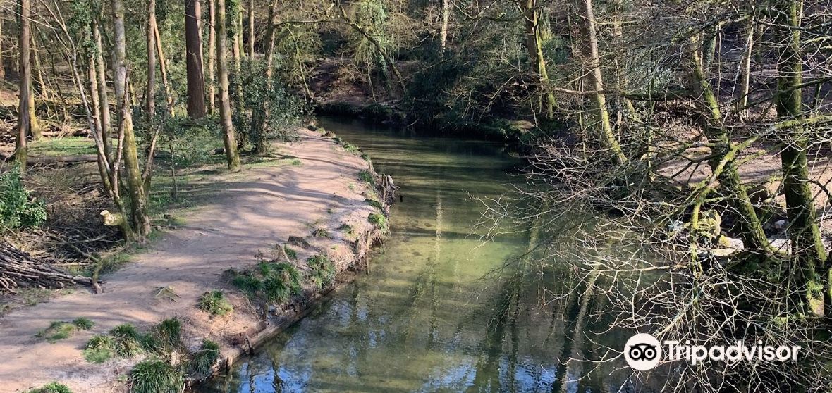 Things to do in Shaugh Prior (2025): Top nearby activities,popular ...