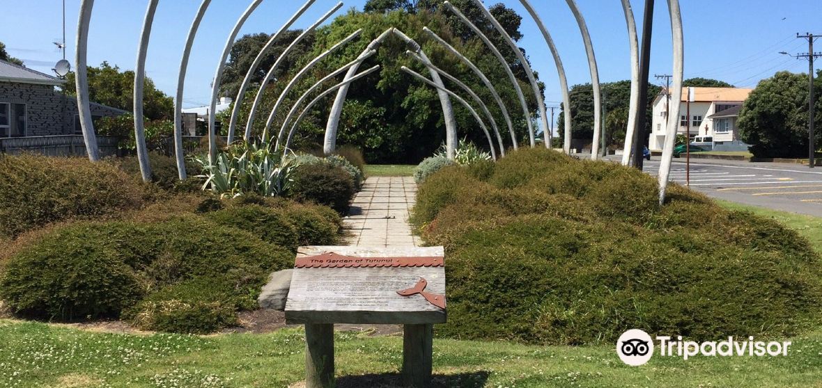 Things to Do in Patea in 2024 - Top Attractions, Local Food, Hotels ...