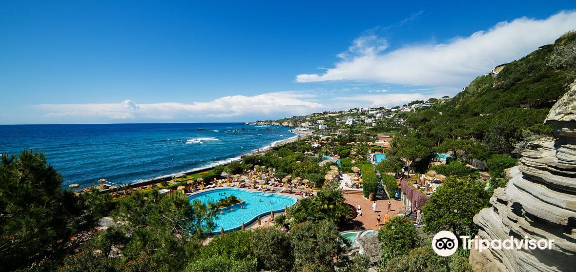 Things to do in Forio di Ischia (2025): Top nearby activities,popular ...