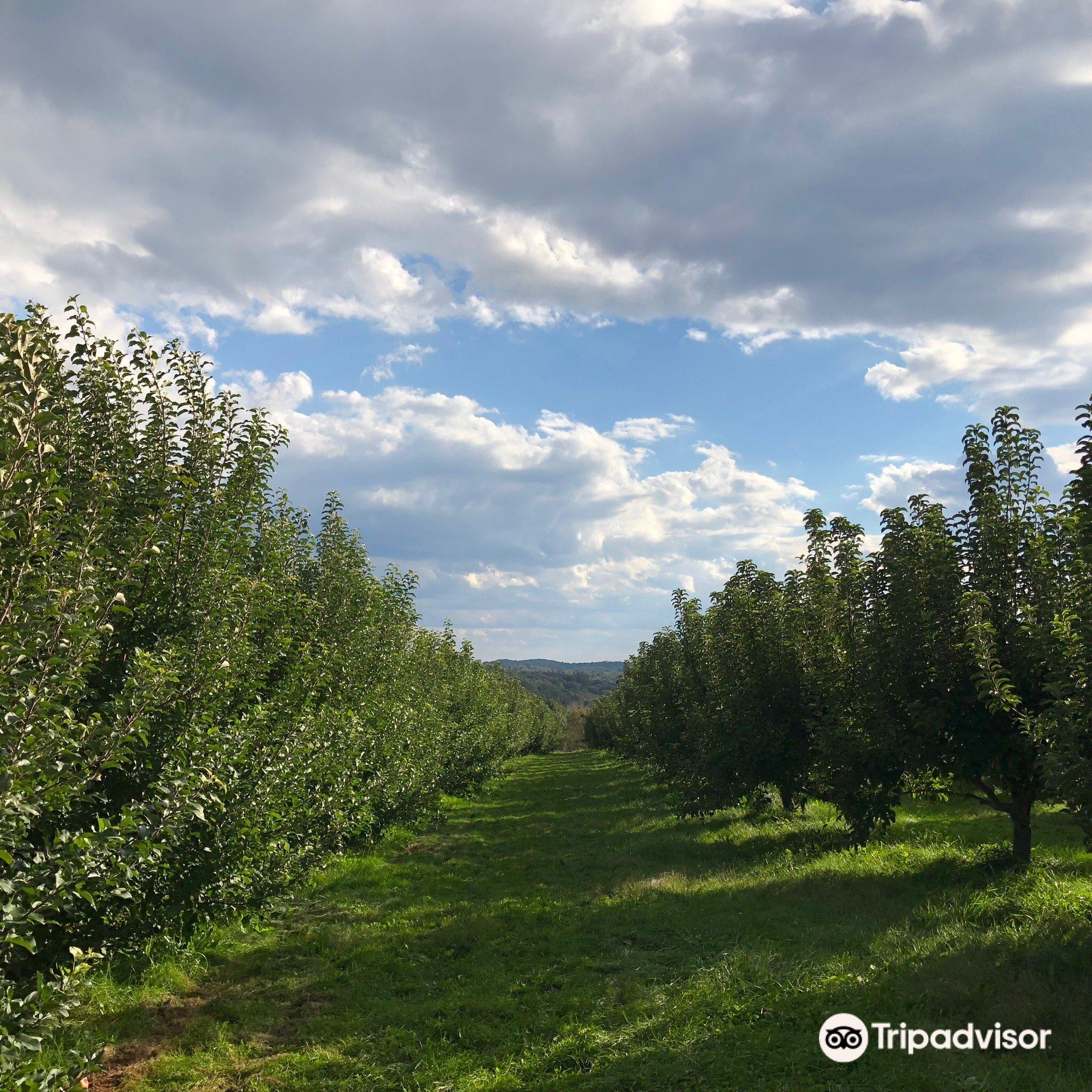 Stuarts Farm: ภาพถ่าย, แผนที่ & รีวิว [2024] | Trip.com