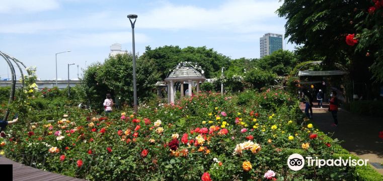 Things to Do in Jungnang-gu in 2024 - Top Attractions, Local Food ...