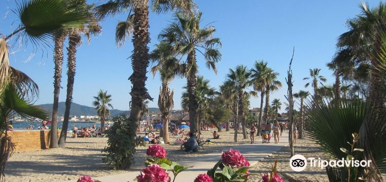 La Mole Travel Guide 2023 - Things to Do, What To Eat & Tips | Trip.com