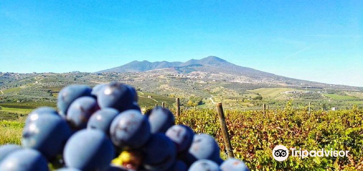 Things to Do in Rionero in Vulture in 2024 - Top Attractions, Local ...