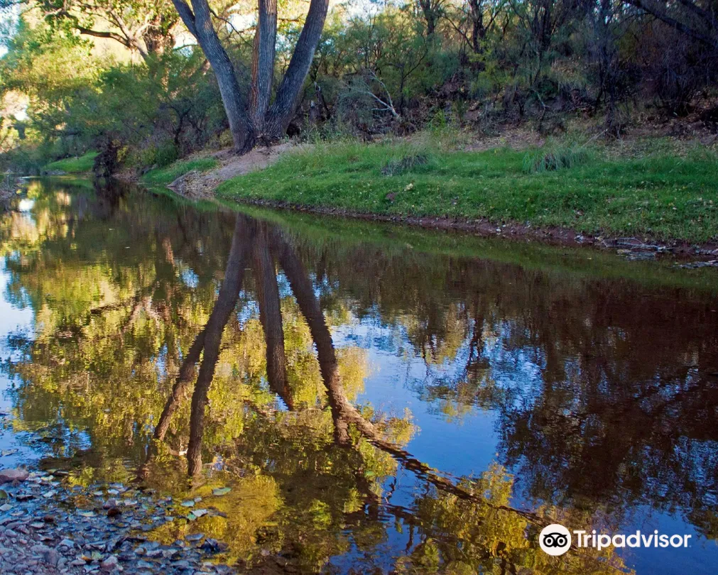 San Pedro Riparian National Conservation Area: скидки на билеты, цены и ...