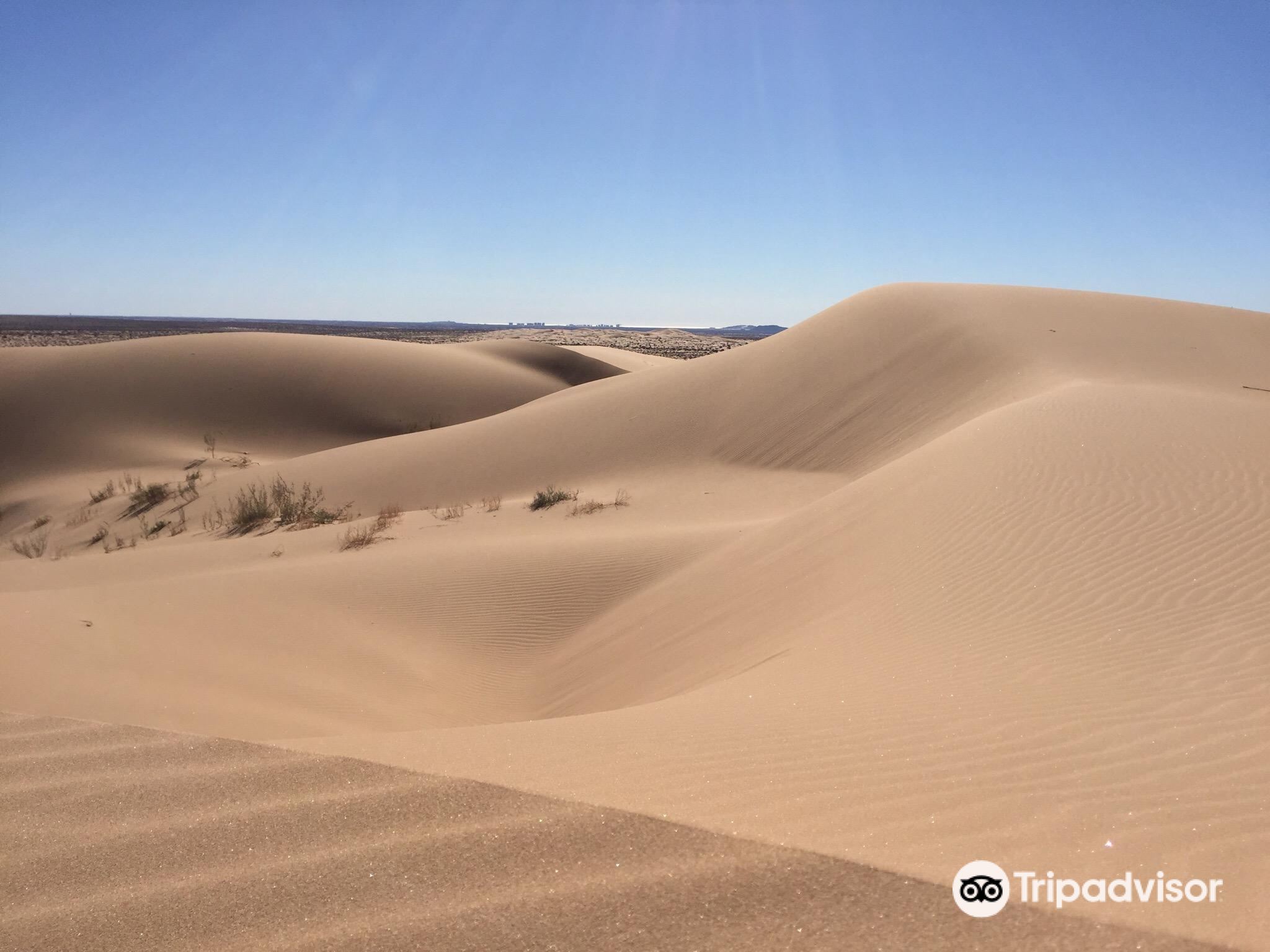 Reserva de la Biosfera El Pinacate y Gran Desierto de Altar - Opening ...