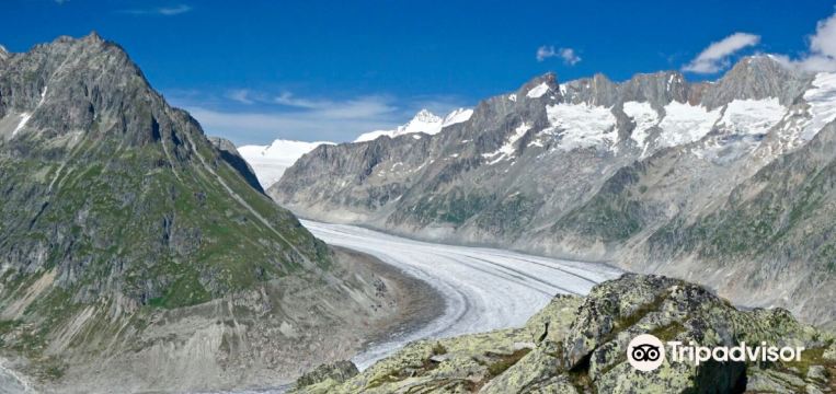 Morel Travel Guide 2026: Top Attractions, Things to Do & Deals | Trip ...
