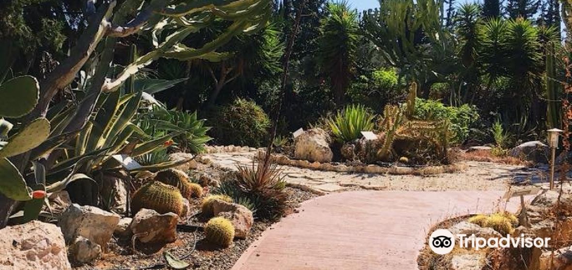 Things to Do in Anarita in 2024 - Top Attractions, Local Food, Hotels ...