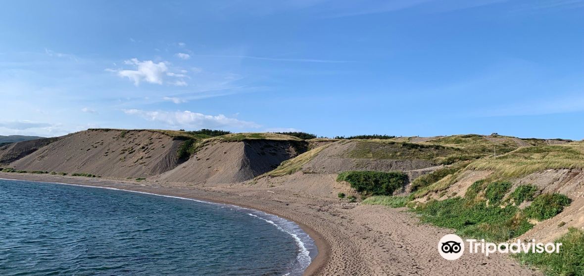 Things to Do in Witless Bay in 2025 - Top Attractions, Local Food ...