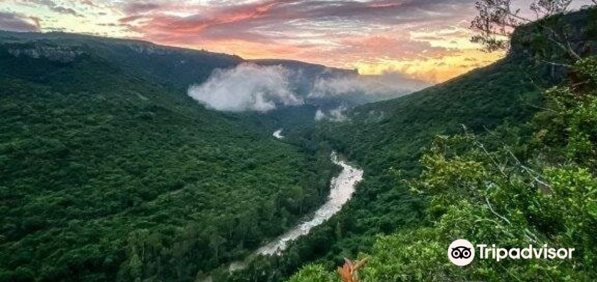 Msunduzi Municipality Travel Guide 2024 - Things to Do, What To Eat ...