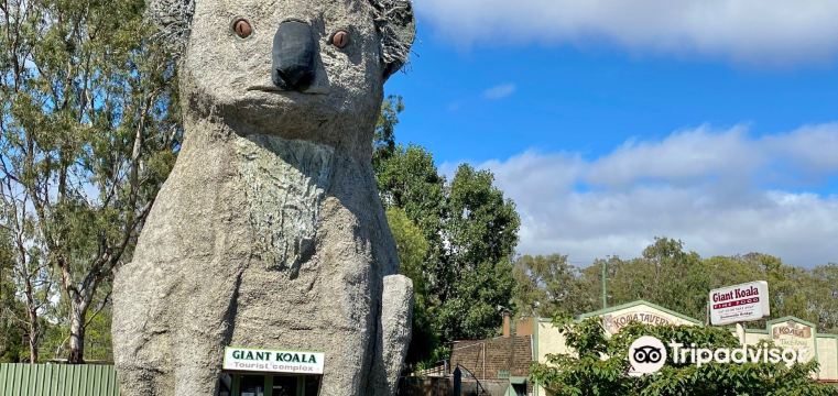 Dadswells Bridge Travel Guide 2024 - Things to Do, What To Eat & Tips ...