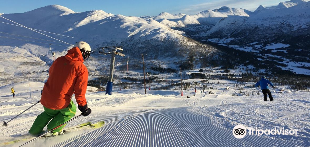 Volda Travel Guide 2026: Top Attractions, Things to Do & Deals | Trip ...